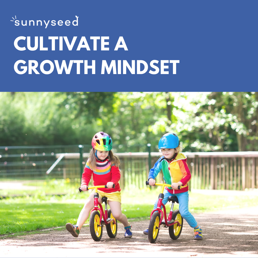 Read the Blog — Sunnyseed