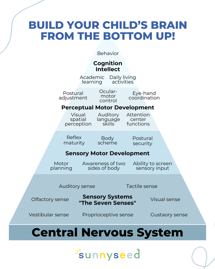 How the Brain & Body Impact Learning & Reading — Sunnyseed