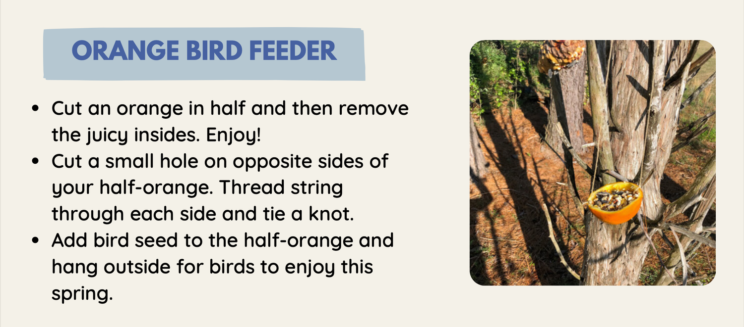 Spring into Fun: Exploring Books, Songs, and Activities for Kids ...