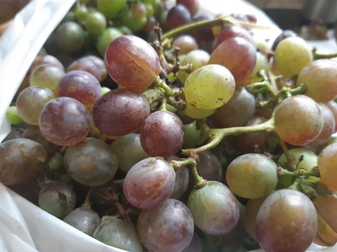 Amexem-Moor-Empire: Department For The Agriculture: Central-Command ...