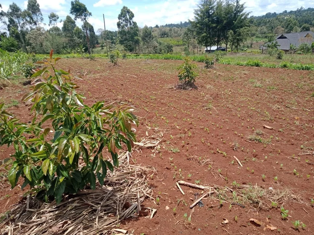 Colonizers, Debt-Trappers, And Foreigners: Engage In The New-Trade-War ...