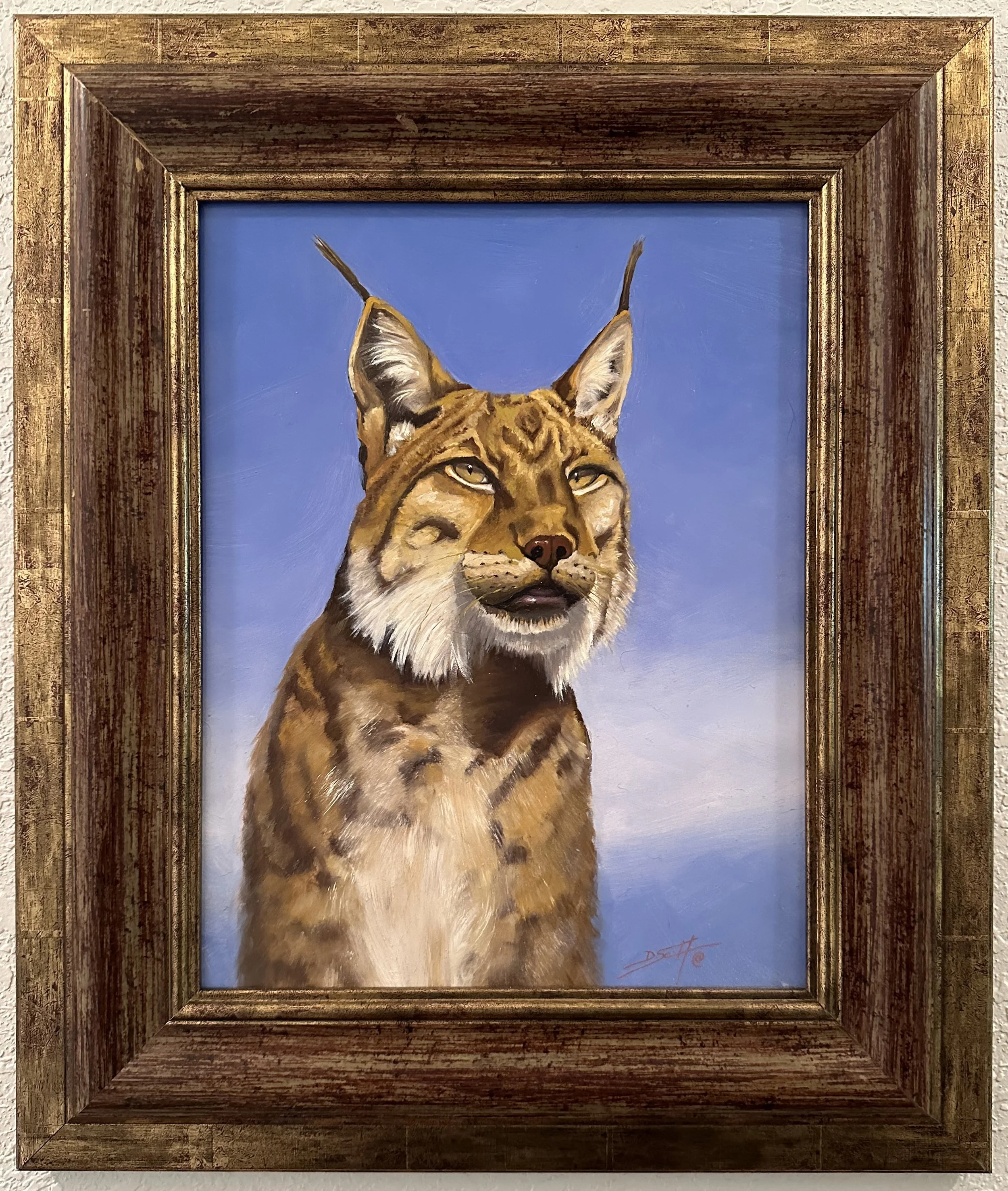 Store 2 — Portraits by Don Scott