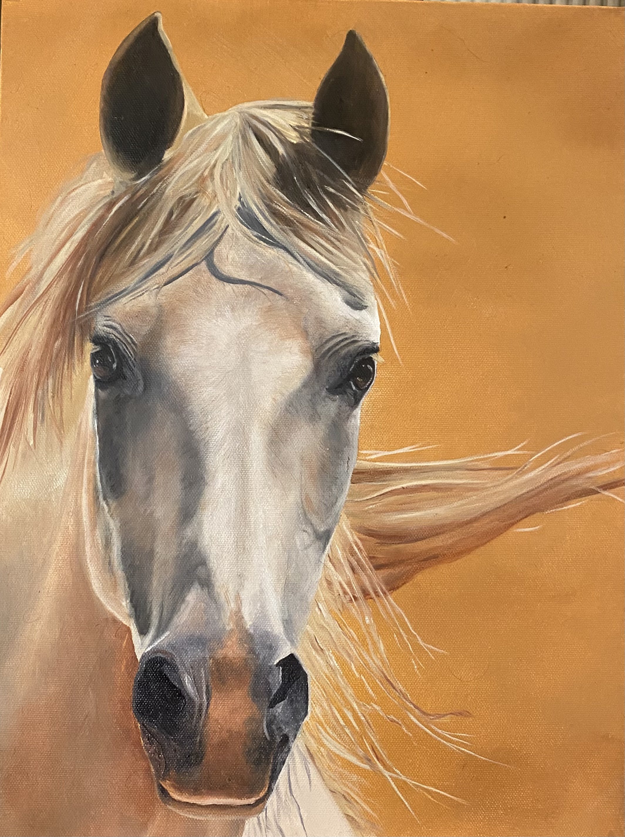 Gallery 3 — Portraits by Don Scott