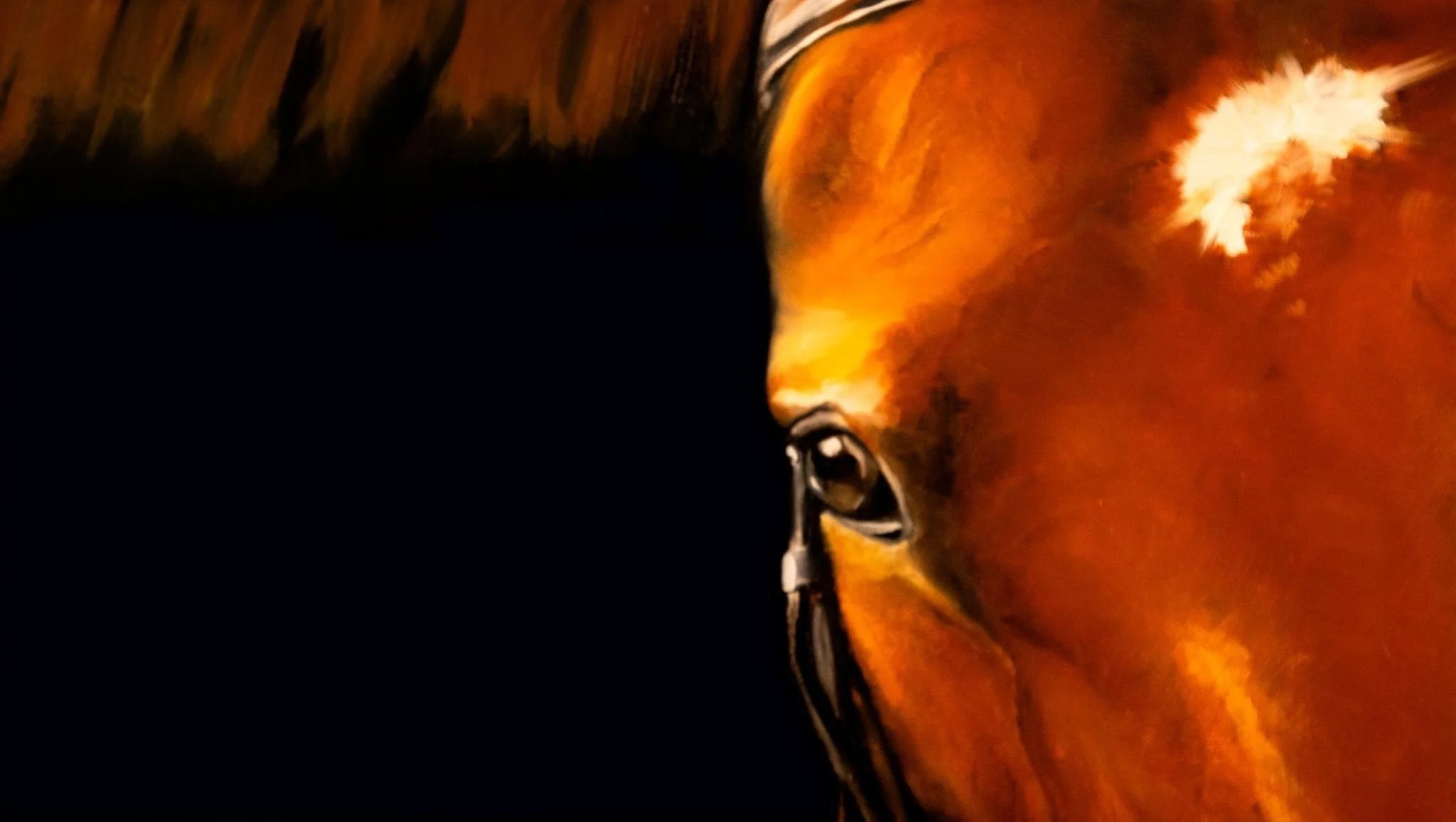 Gallery 3 — Portraits by Don Scott