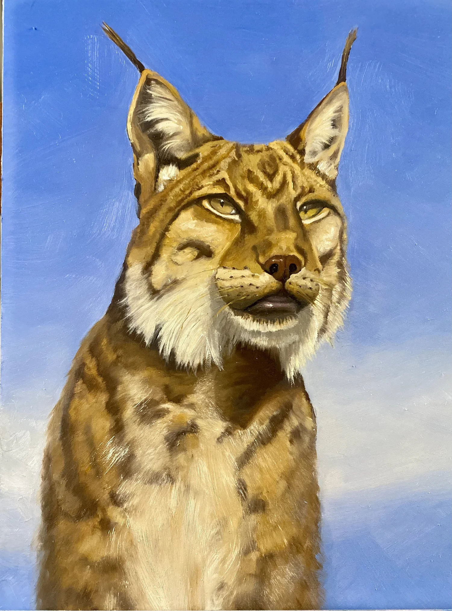 Gallery 3 — Portraits by Don Scott
