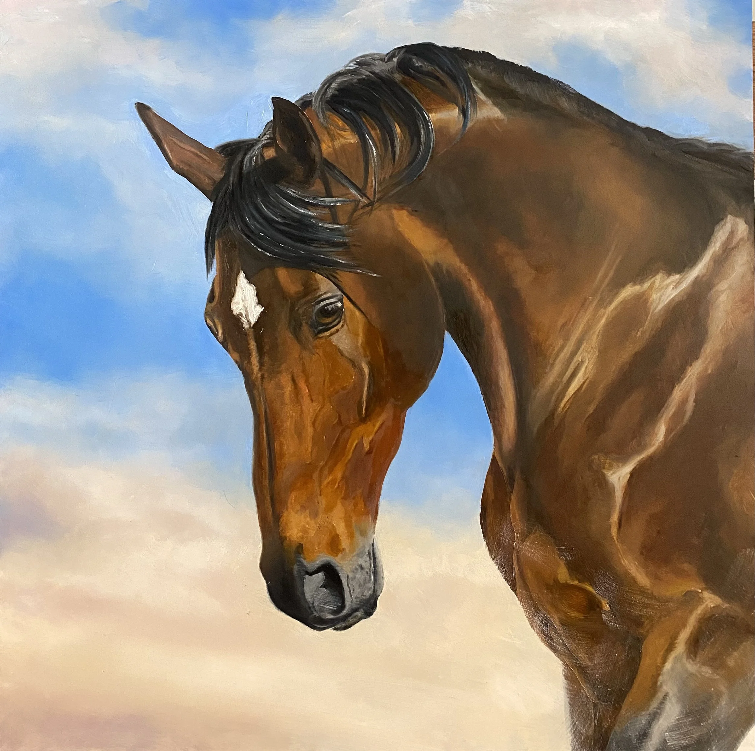 Gallery 3 — Portraits by Don Scott