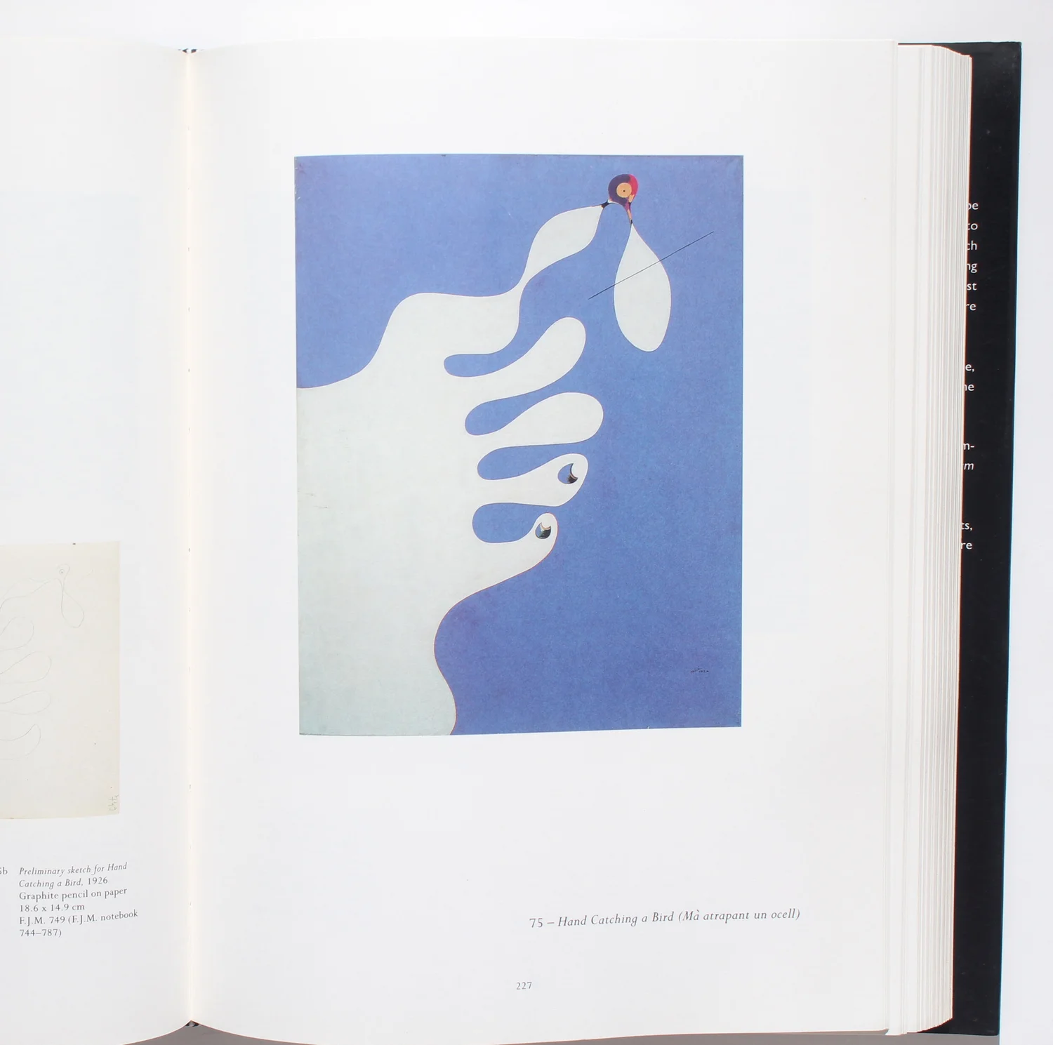 Joan Miro Hand Catching A Bird