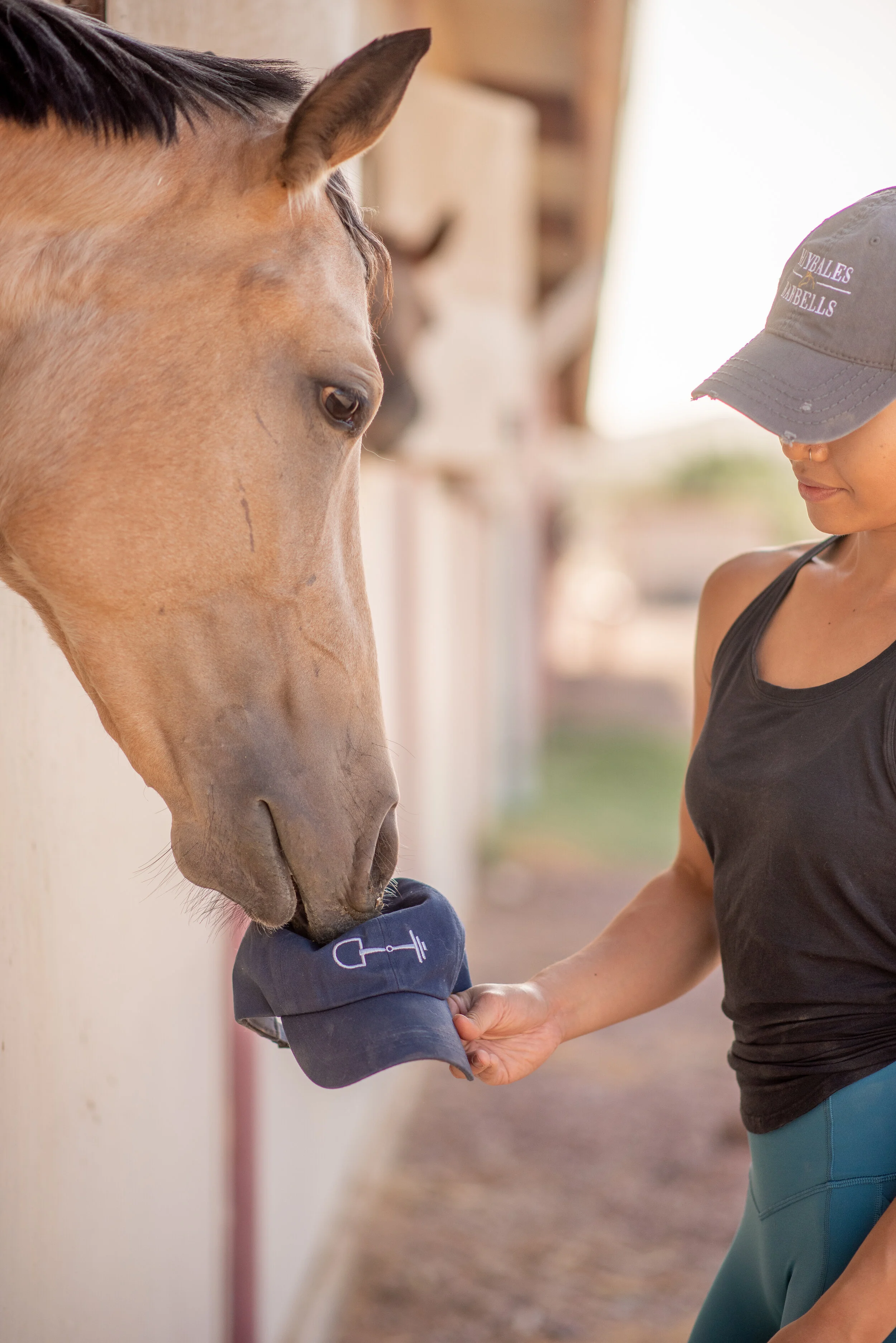 Free Equestrian Fitness Guide — Haybales & Barbells