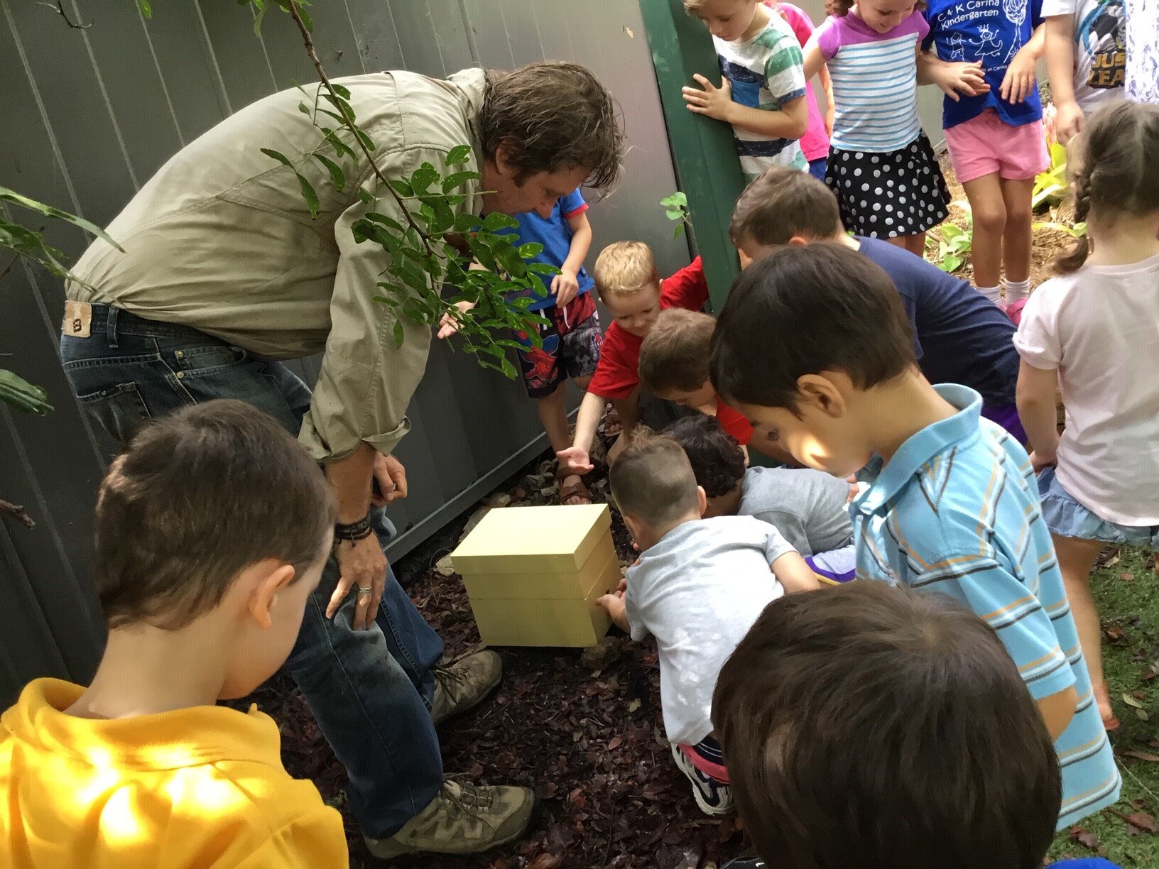 Schools & Kindys — A Green Soul Native Bees