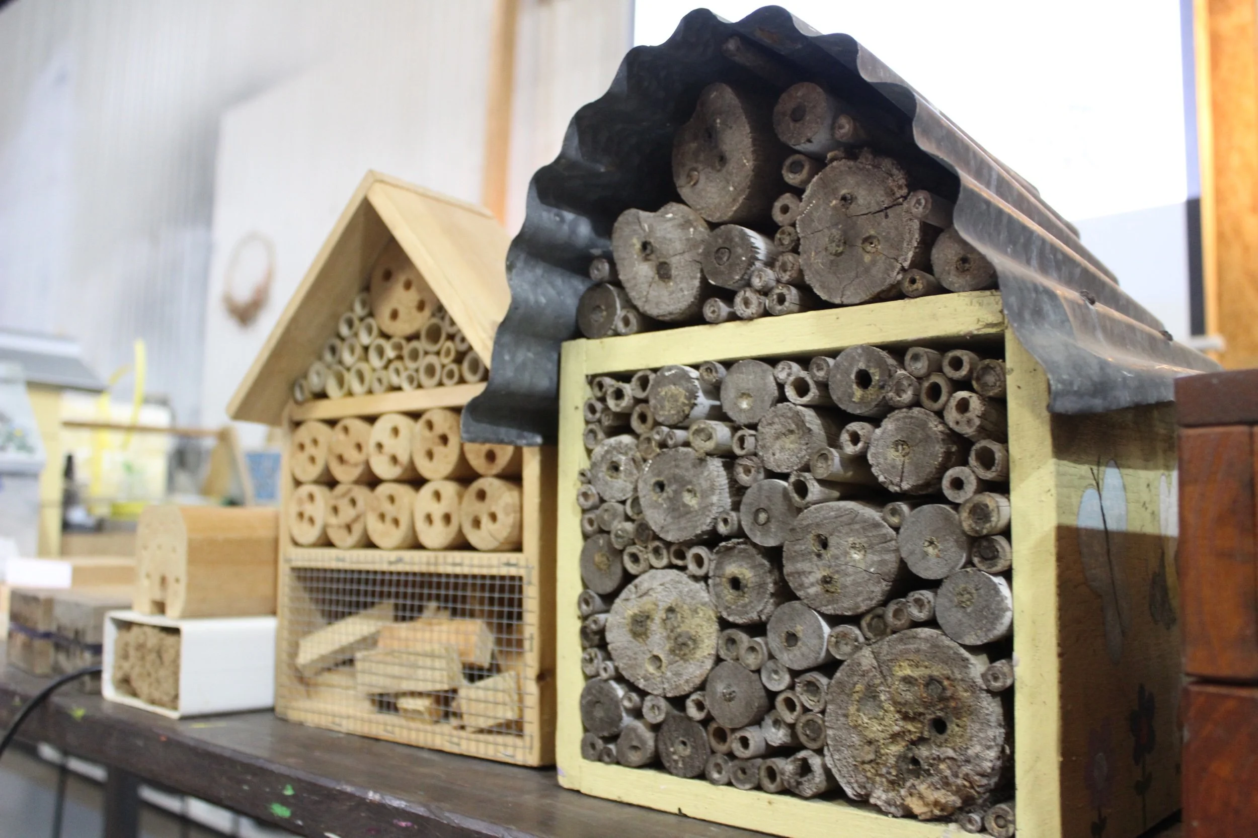 Events — A Green Soul Native Bees