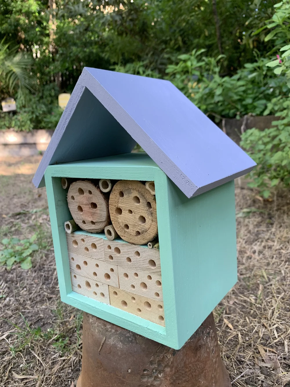 Store — A Green Soul Native Bees