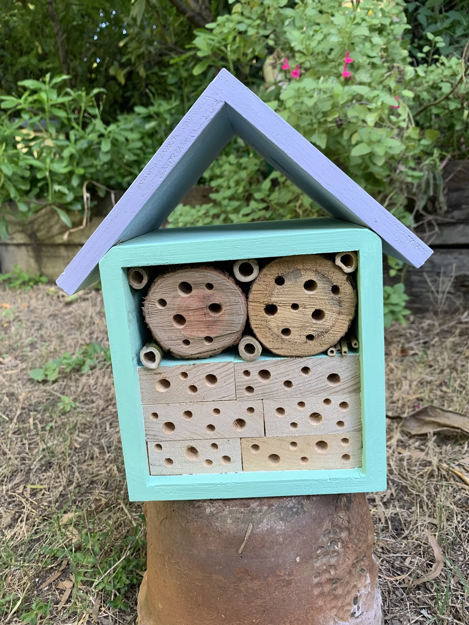 Store — A Green Soul Native Bees