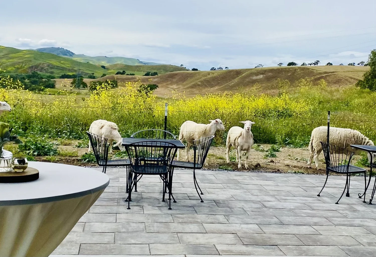 Paicines Ranch Store