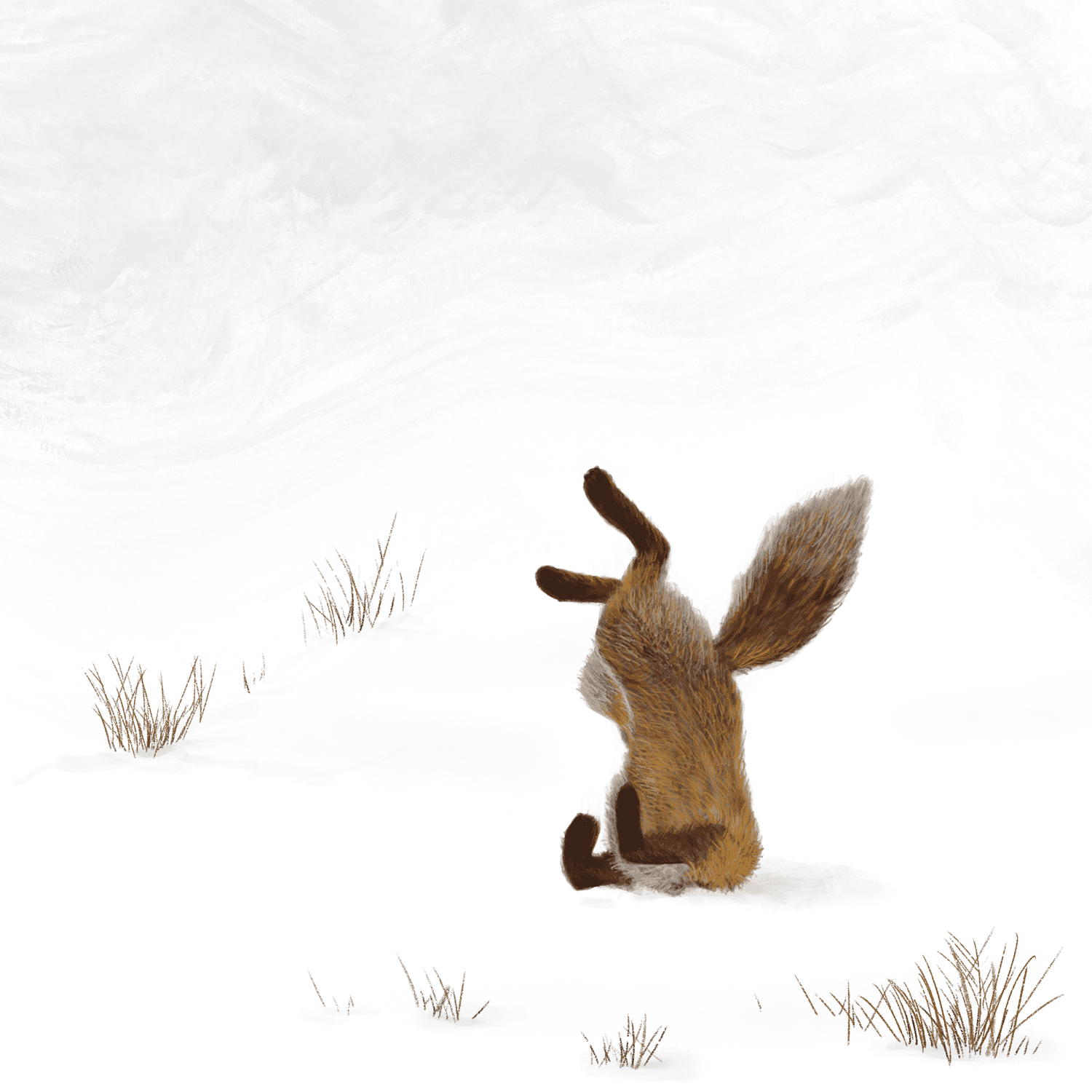 About — Mary Walton