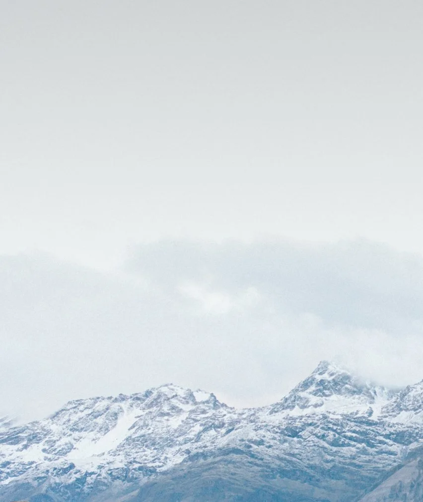 Bankhead Family Reunion 2024