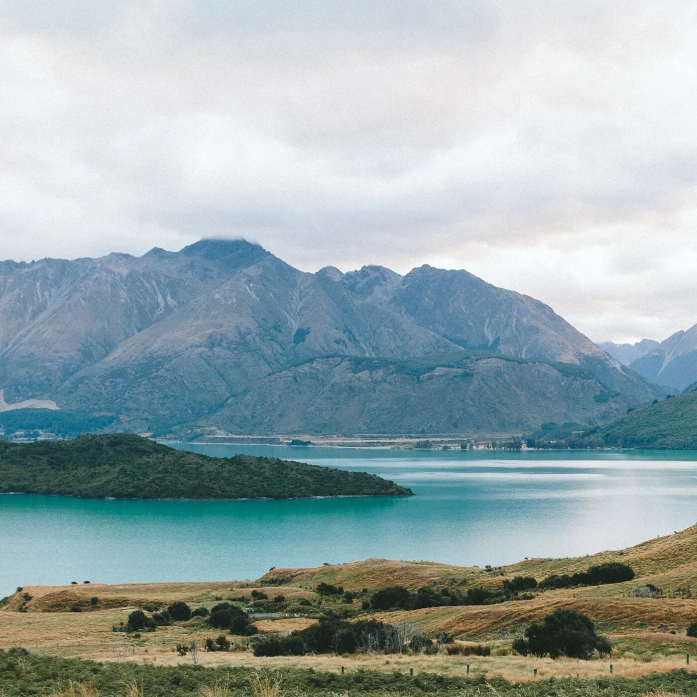 Reviews 1 — Red Pill Labs