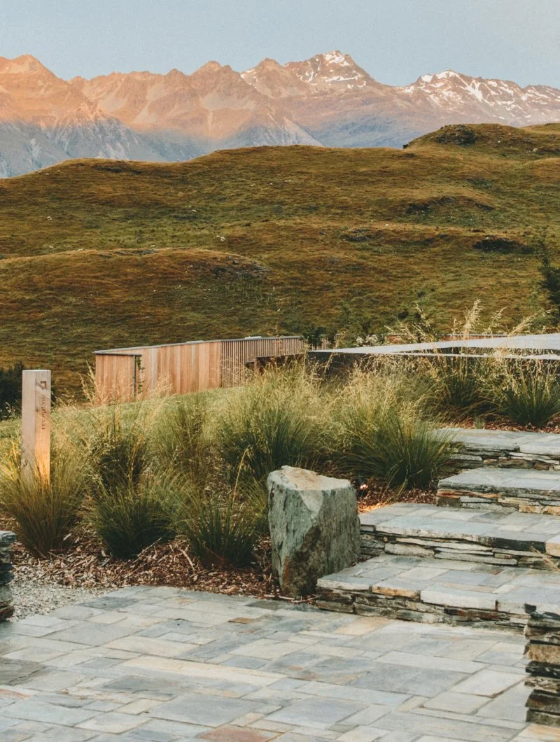 Keppra for Dogs & Cats | Remedy Veterinary Medication Guide — Remedy ...