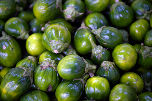 Featured Ingredient: Likok (Bitter Eggplant) — Neighborhood Farmers Markets