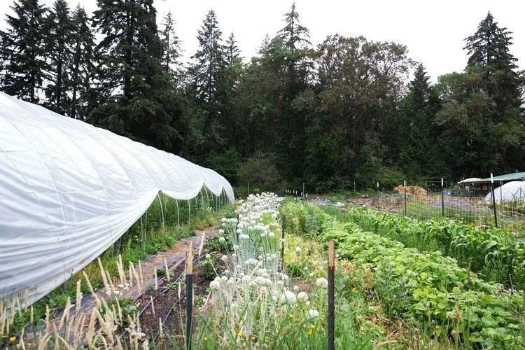 Growing for Good — Neighborhood Farmers Markets