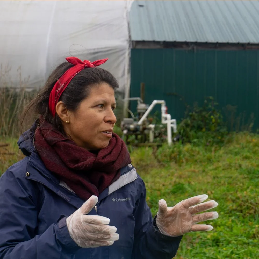 Small local woman run organic farm in Bellingham — Neighborhood Farmers ...