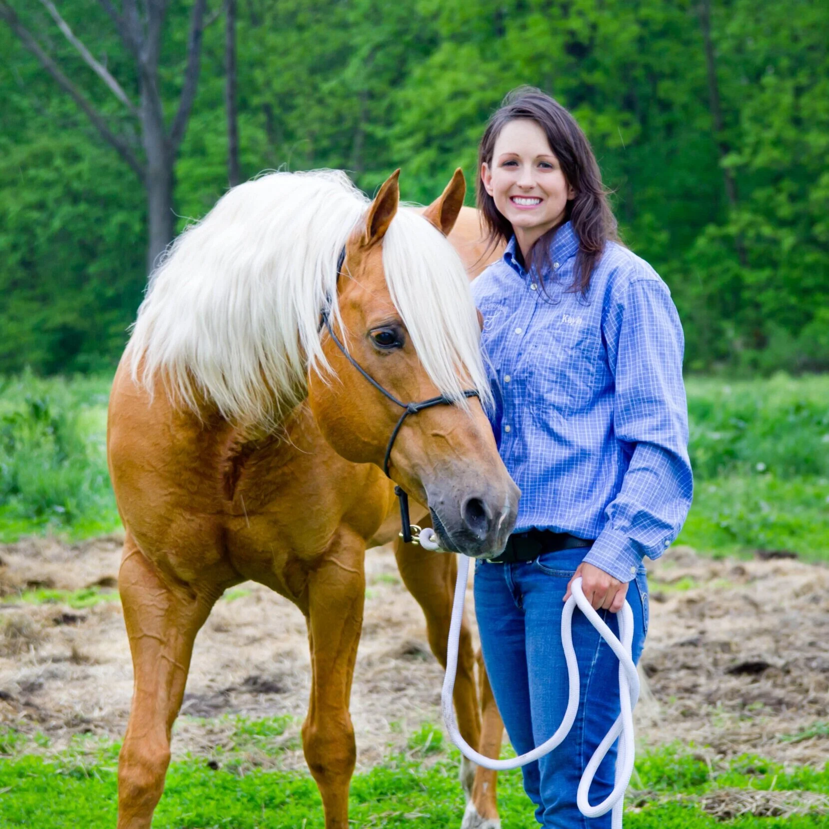K & j performance horses