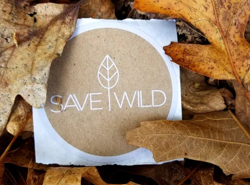 Custom Eco Friendly Sticker Labels for Biodegradable Packaging — Plan ...