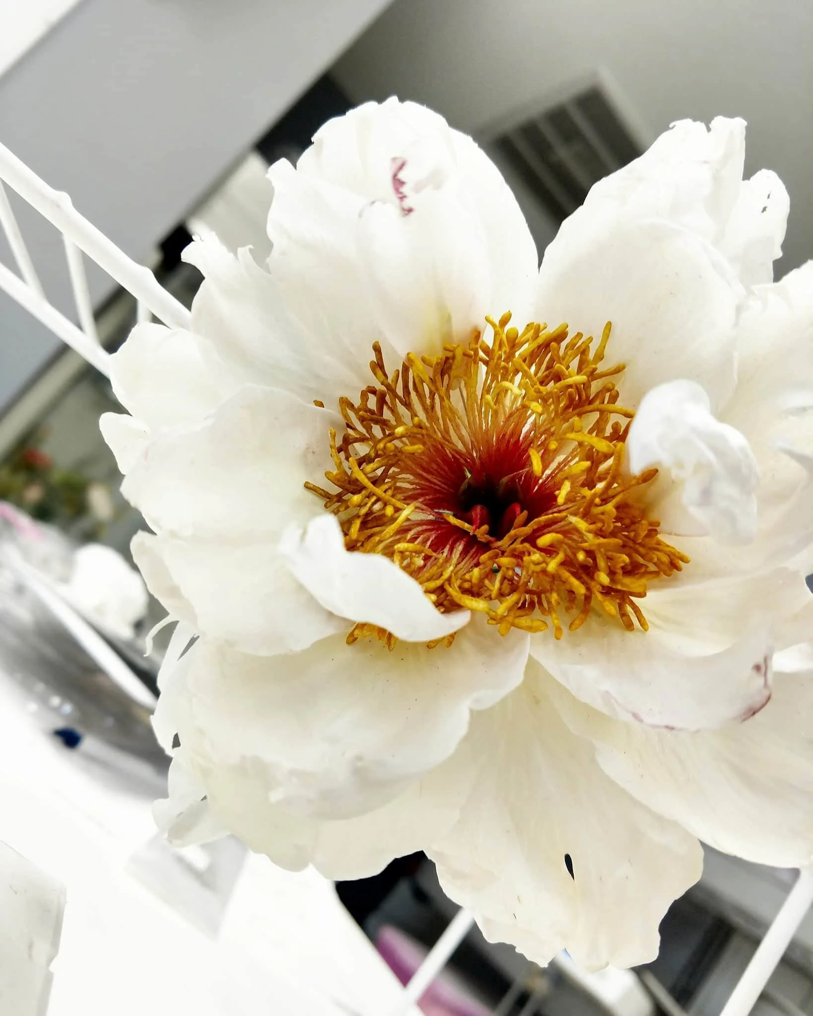 Gallery 2 — Sucre Table