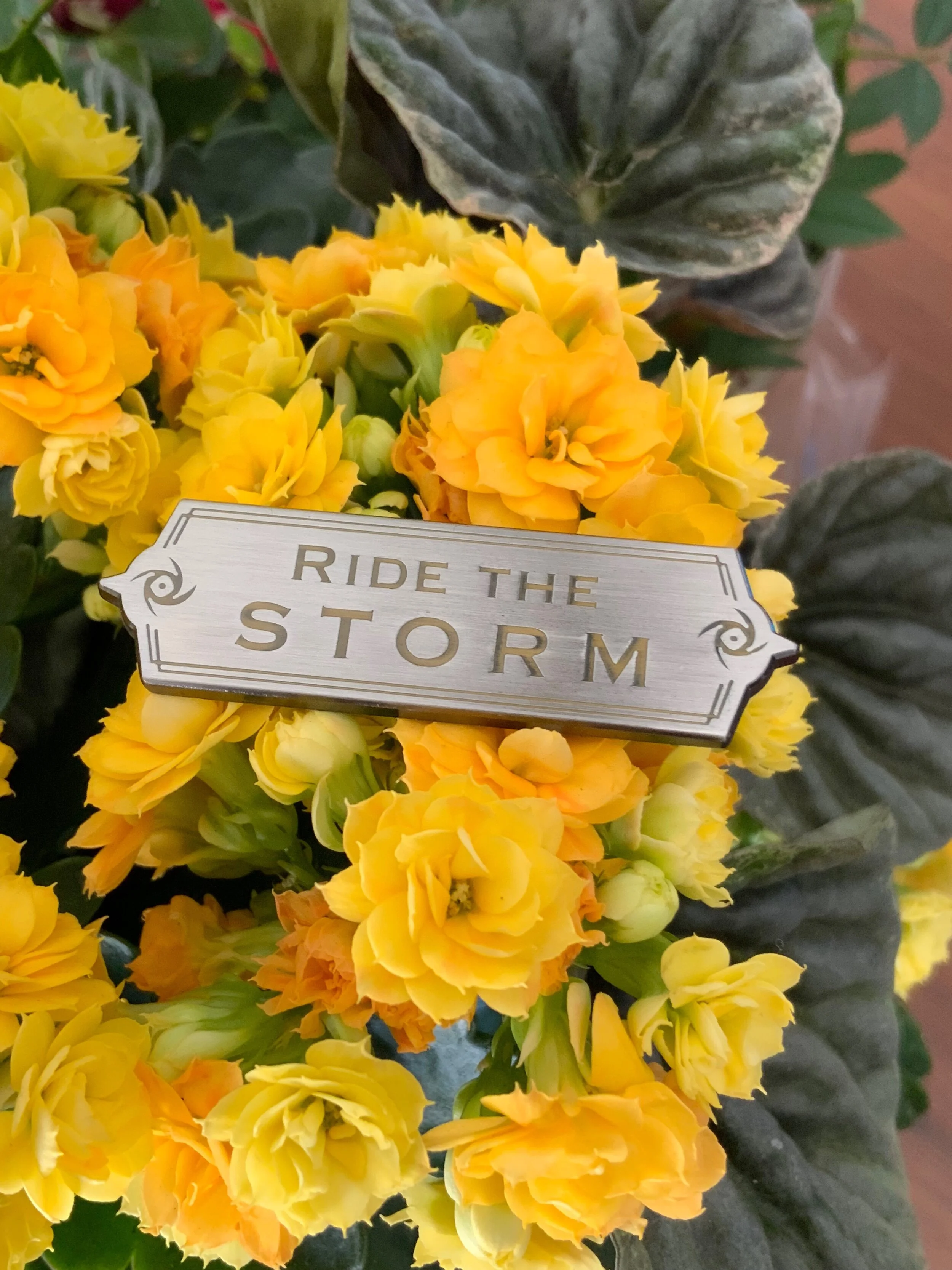 Shop — Fulcrum Pins