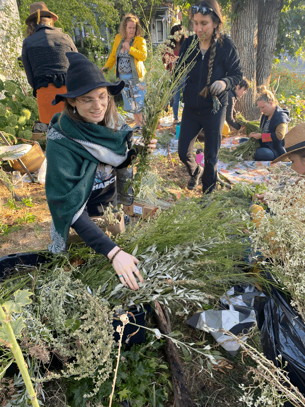 Register for Herbal Classes — Northern California School of Botanical ...