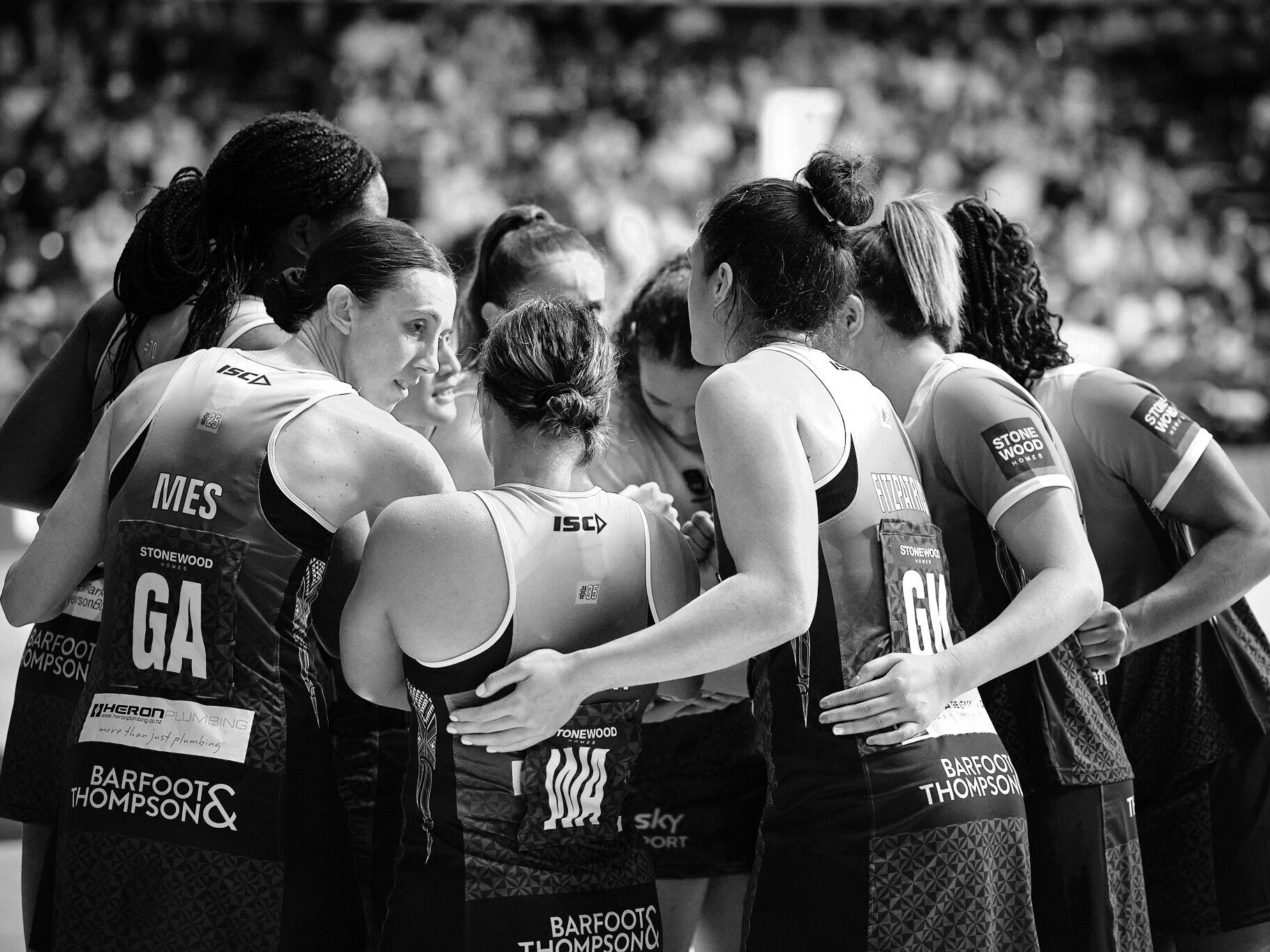 Thomas Hamill Photography