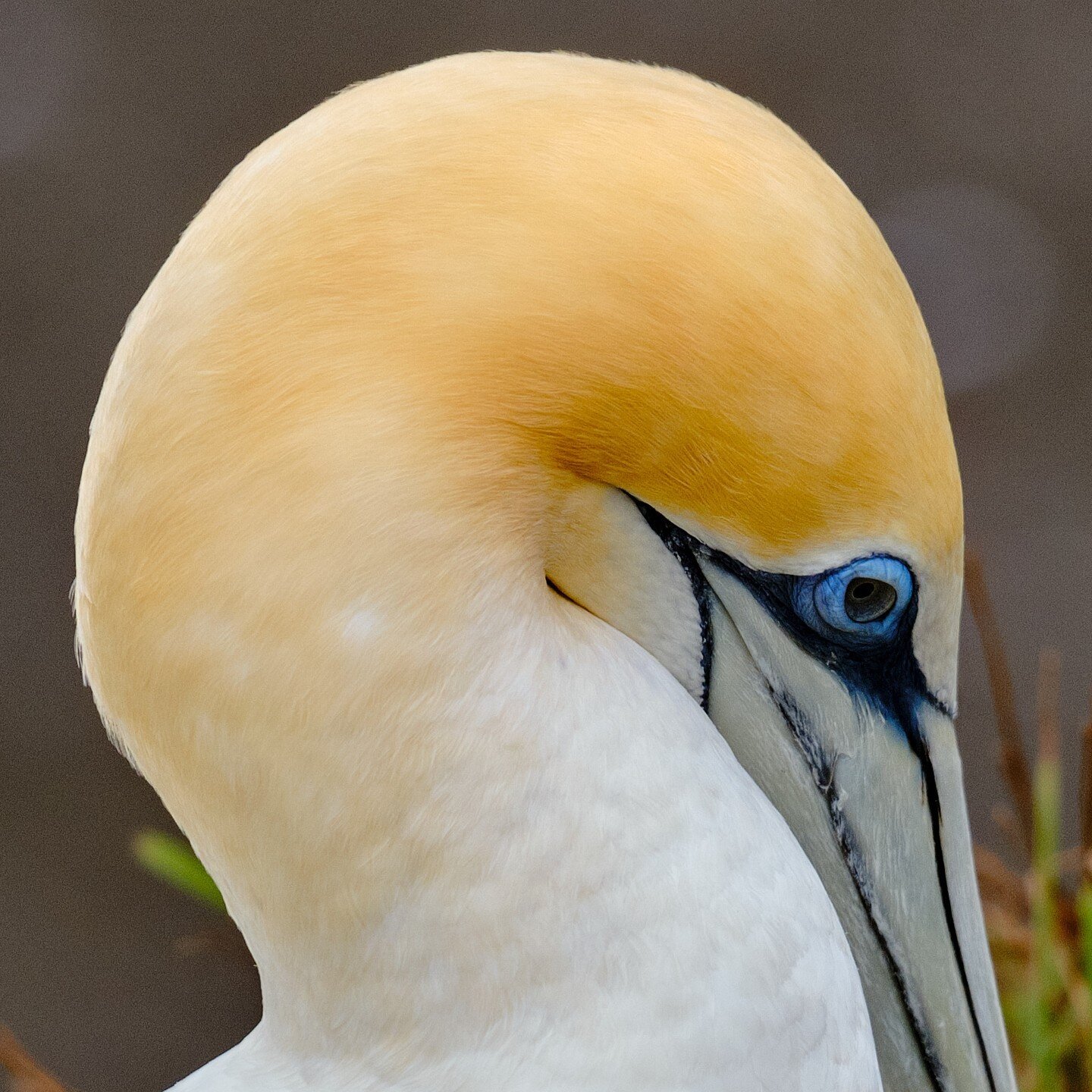 Thomas Hamill Photography