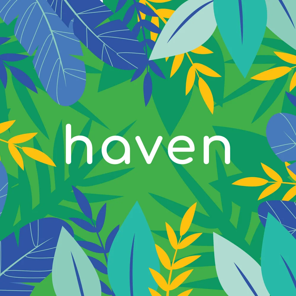 Haven marks 10,000+ visitors — Odyssey