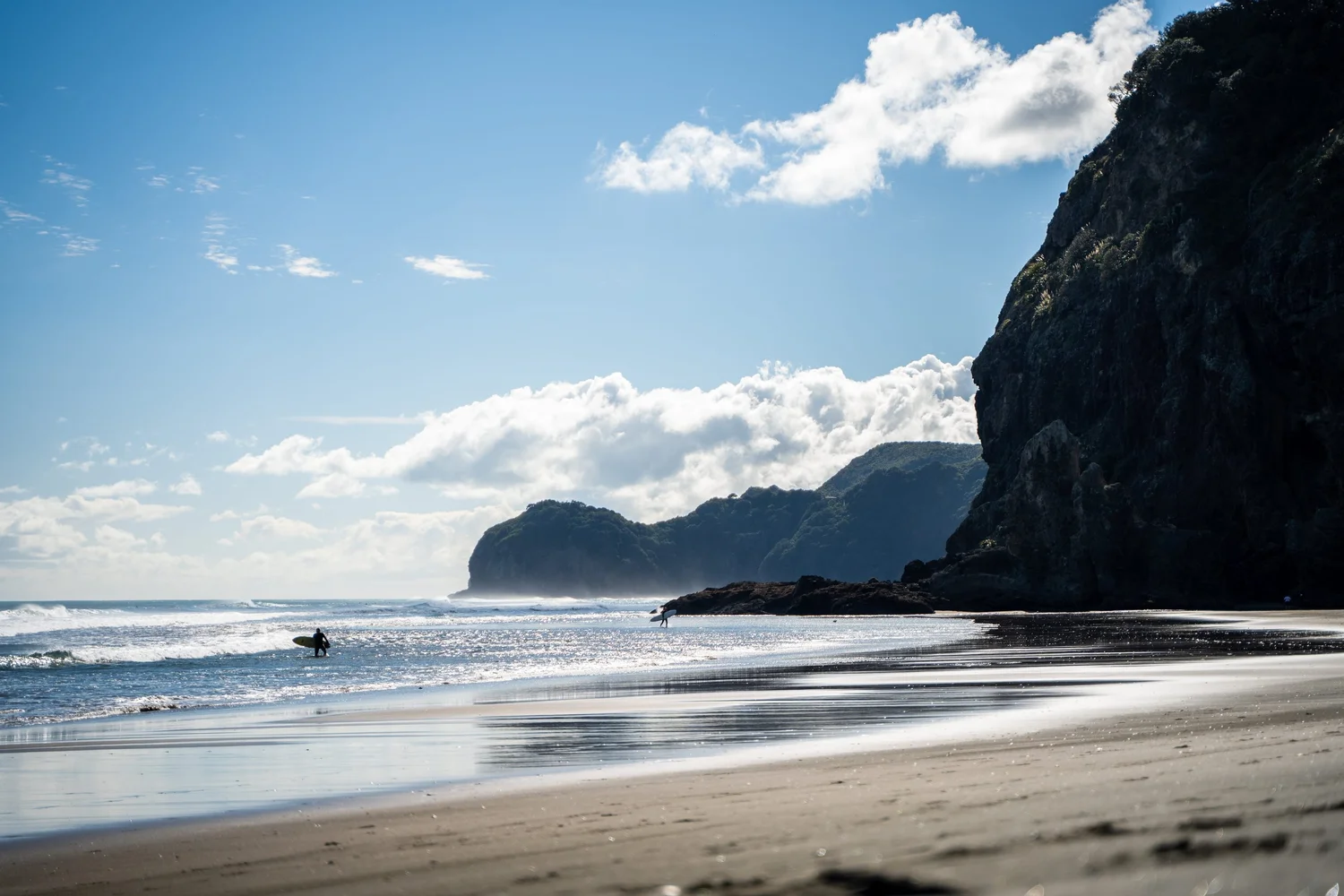 Piha Beach Shark