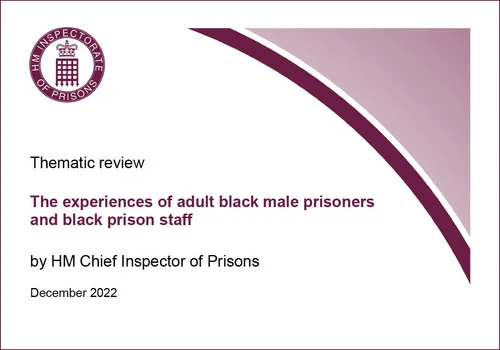 The experiences of adult black male prisoners and black prison staff ...