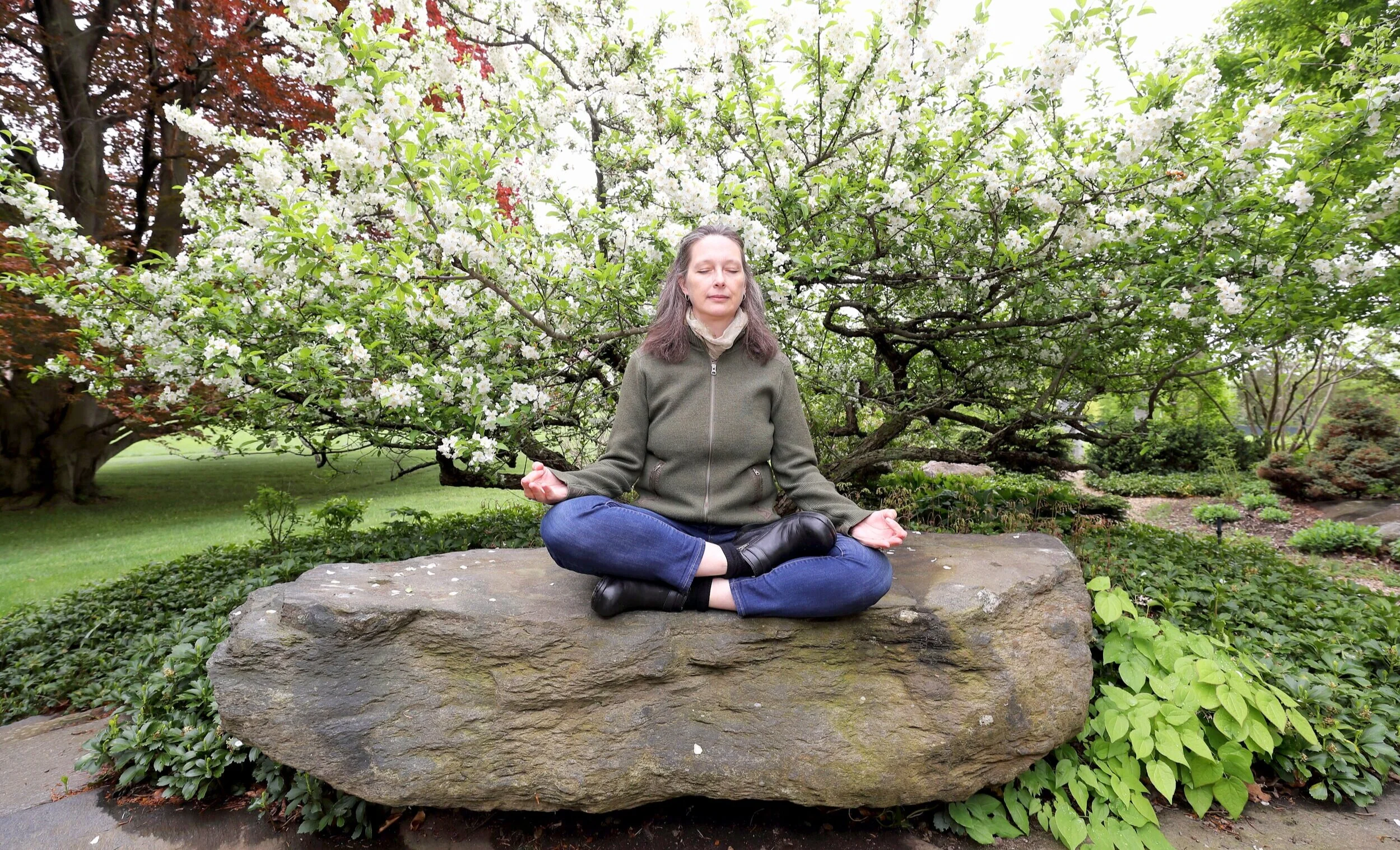 About — Meditation & Mindfulness with Lisa Campbell