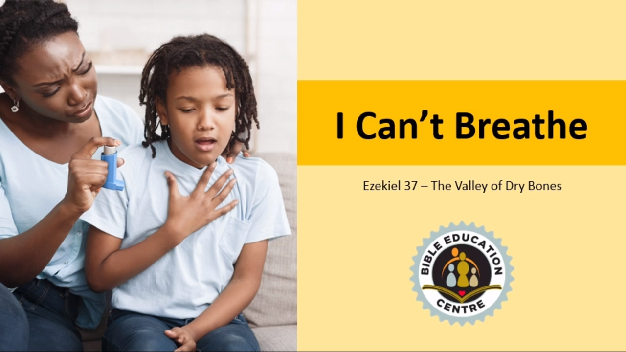 Youth Classes — OCBS 2021