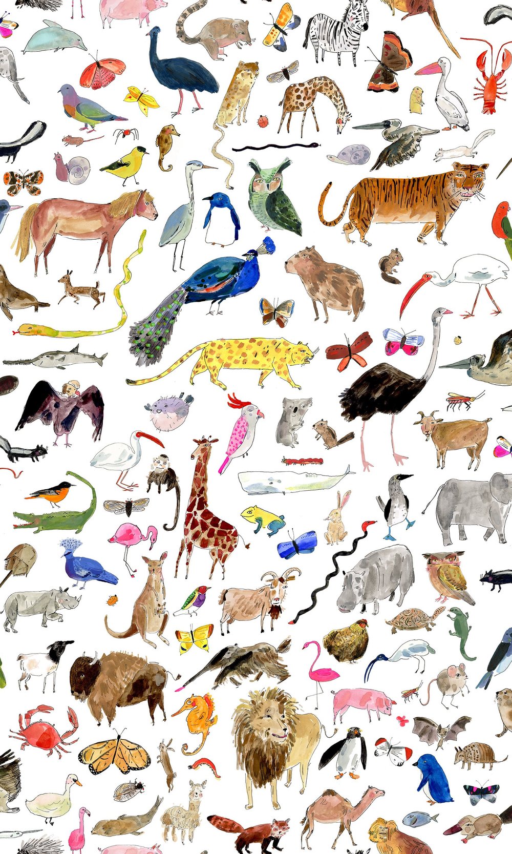 Animals Pattern — ELIZABETH GRAEBER