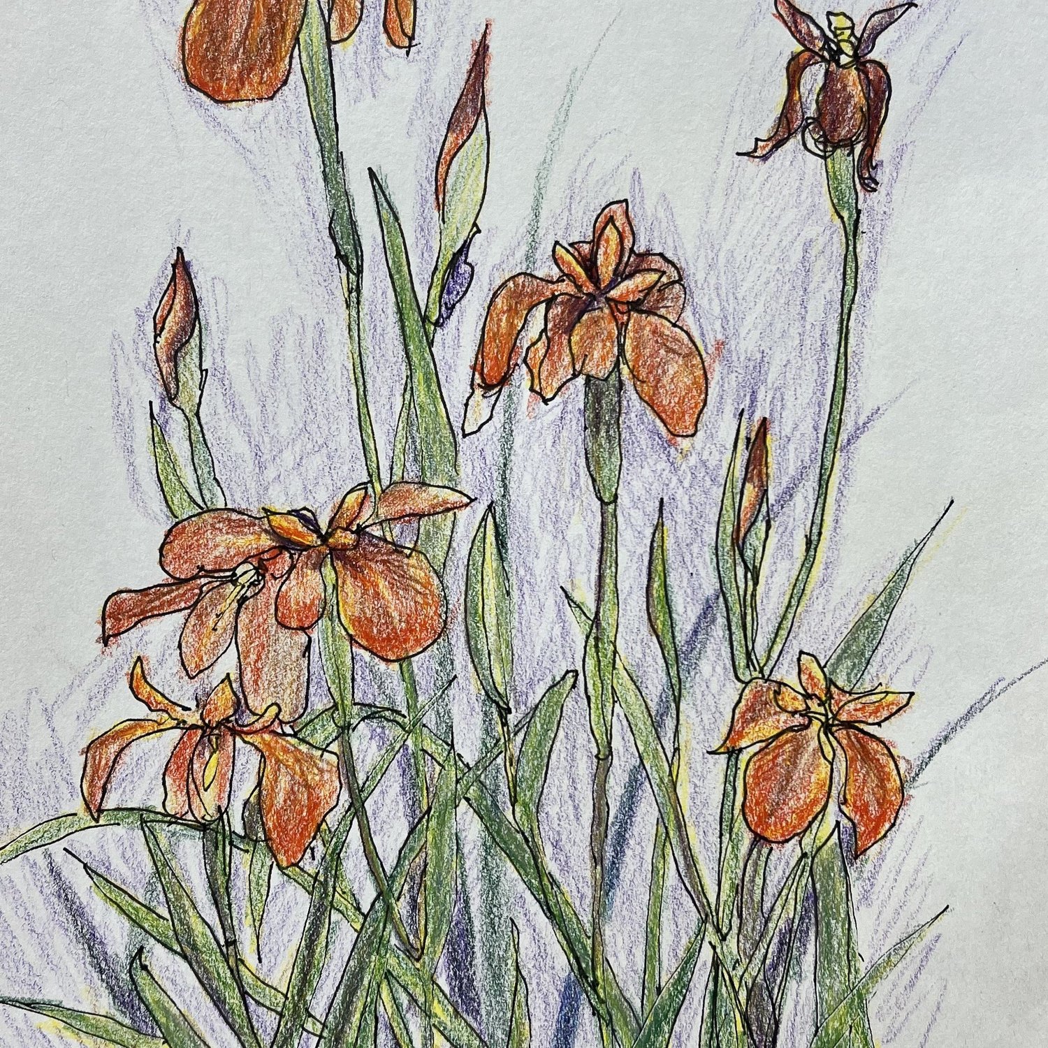 Brown's Fine Art and Framing