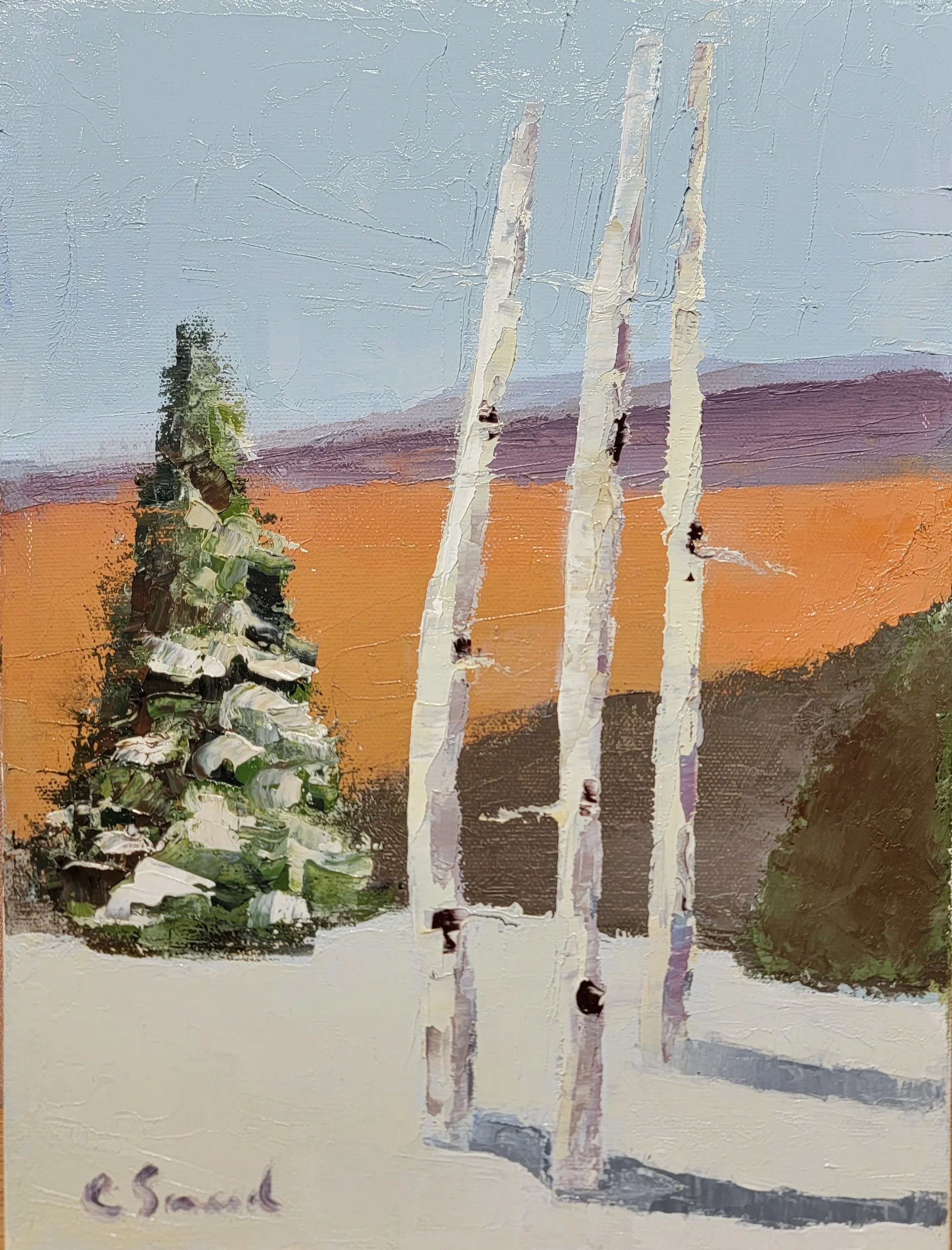 Carol Sneed — Brown's Fine Art and Framing
