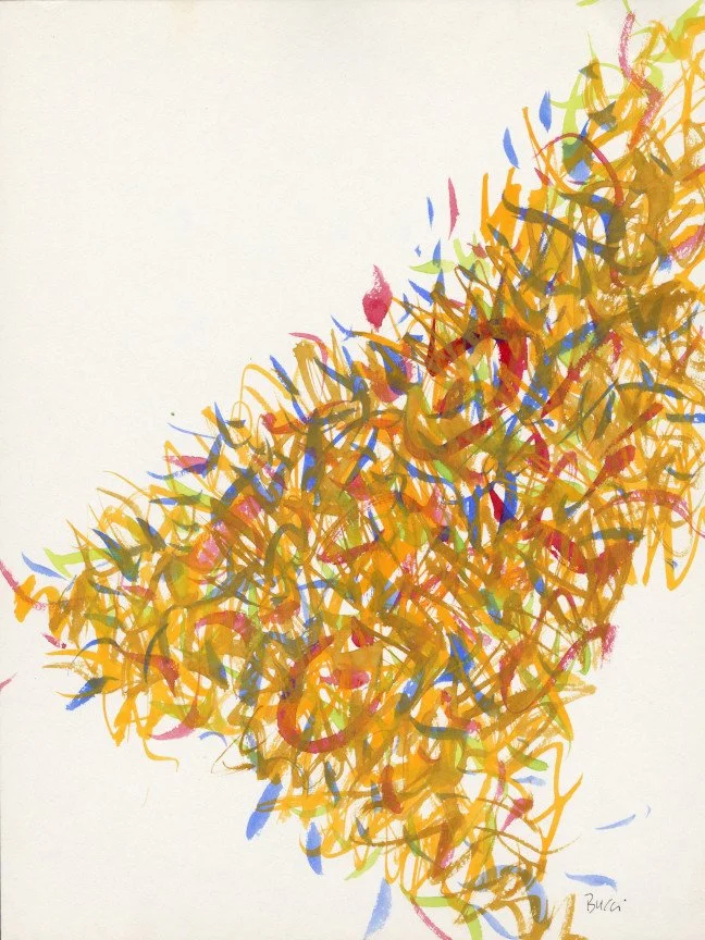 Andrew Bucci — Brown's Fine Art and Framing