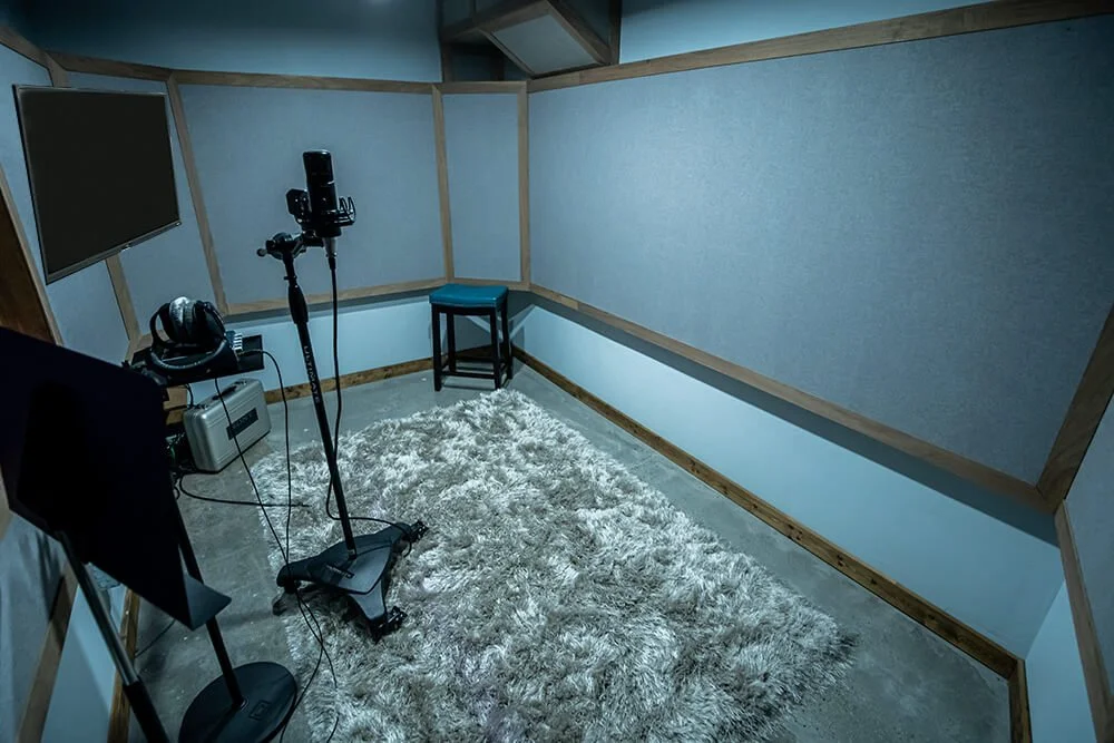 Voice-Over and ADR Studio Services — Pink Cloud Studios