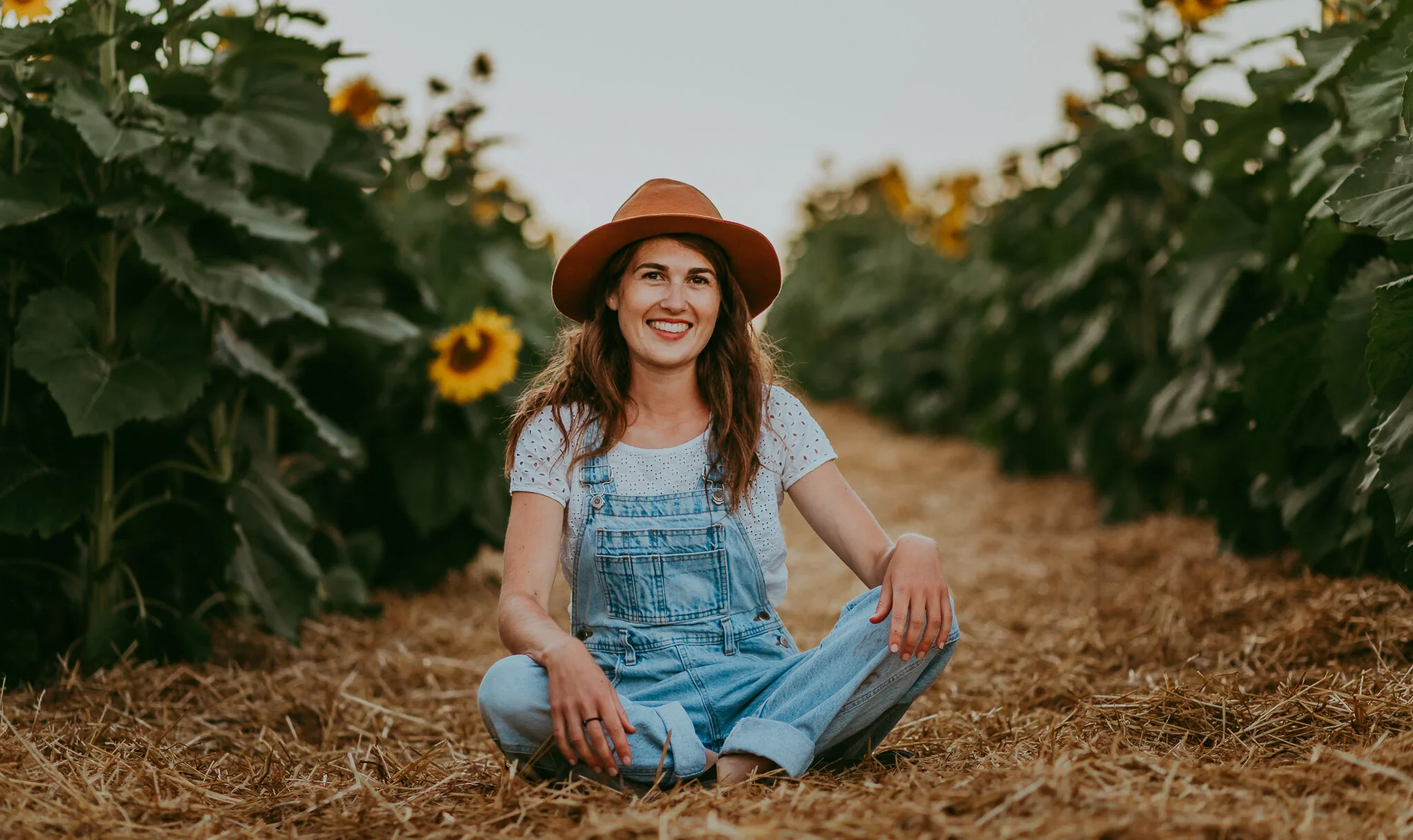 The Sunflower Farm