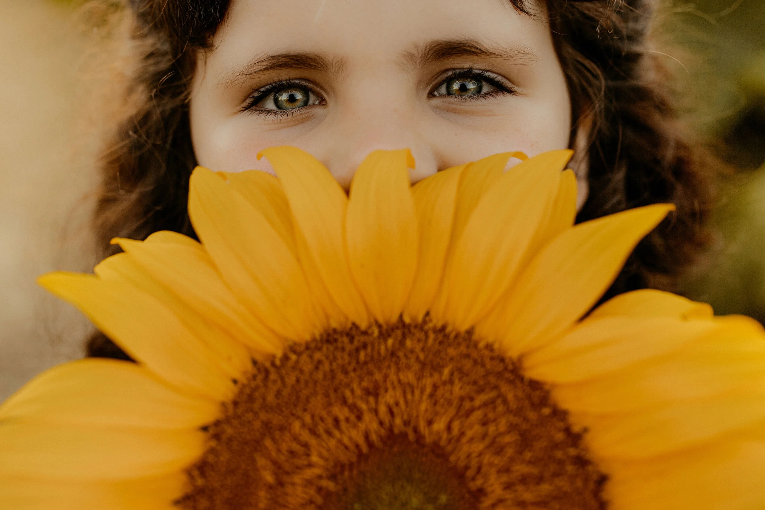 Photography Bookings — The Sunflower Farm