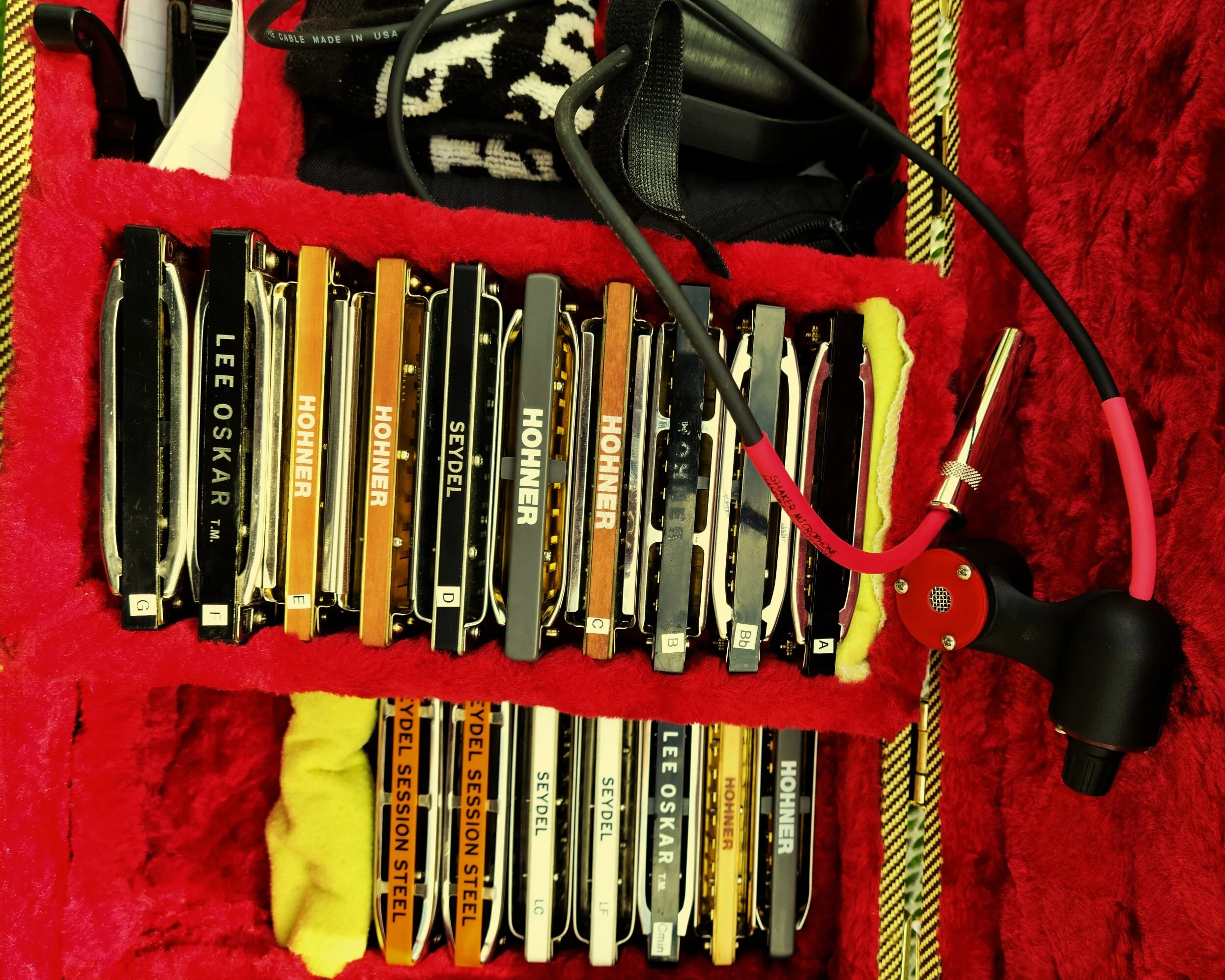 Harmonica — Ben Balmer