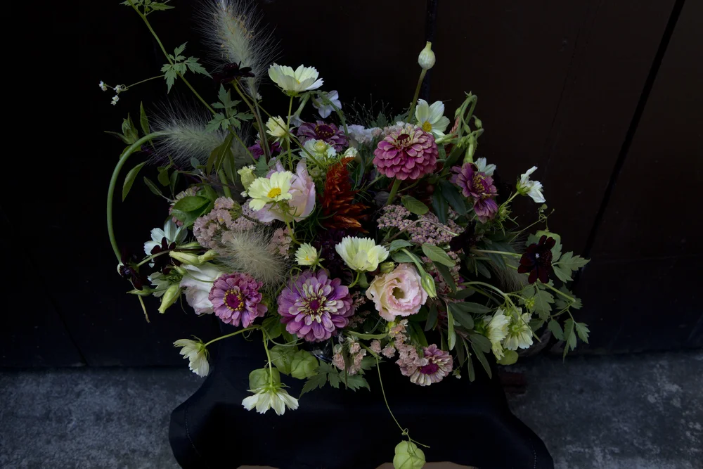 Full Service Wedding — Bluma