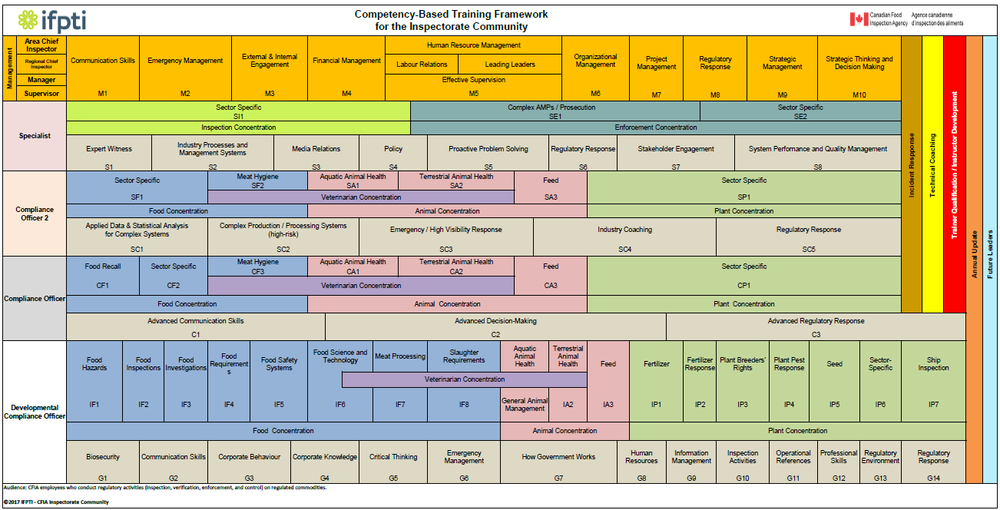 CFIA Framework | Elevate Your Expertise — IFPTI