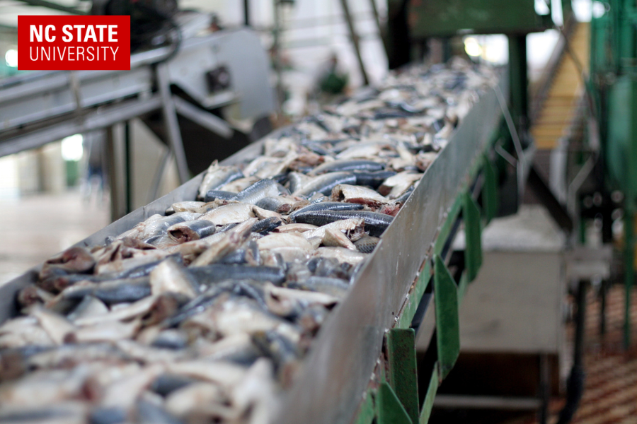 Interactive Seafood Sanitation Program Launched in Partnership with ...