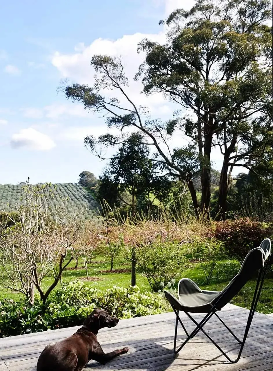 Our Family Story — Hart's Farm