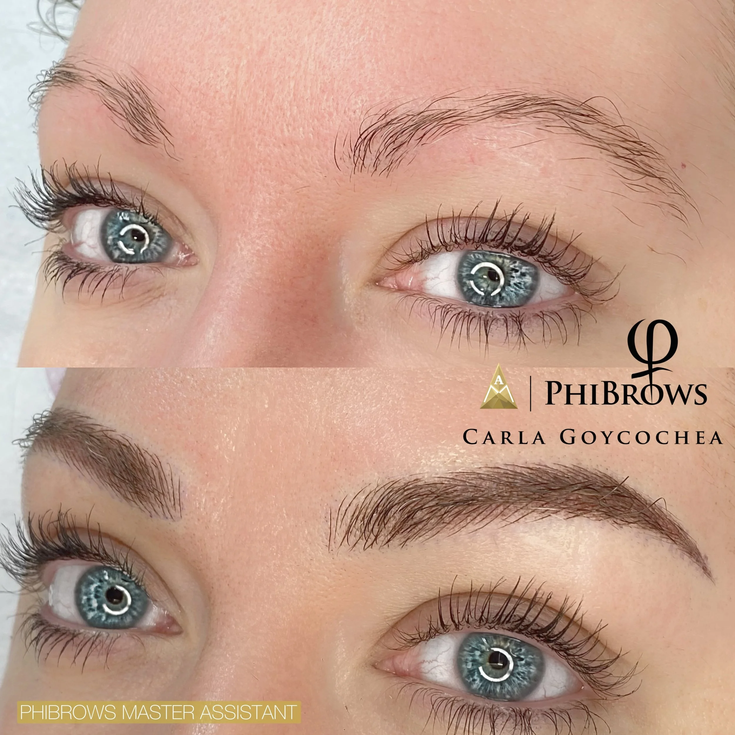 PhiShading Shading OmbreBrows Combobrows Maryland WasingtonDC Phiacademy Microshading Rockville ...