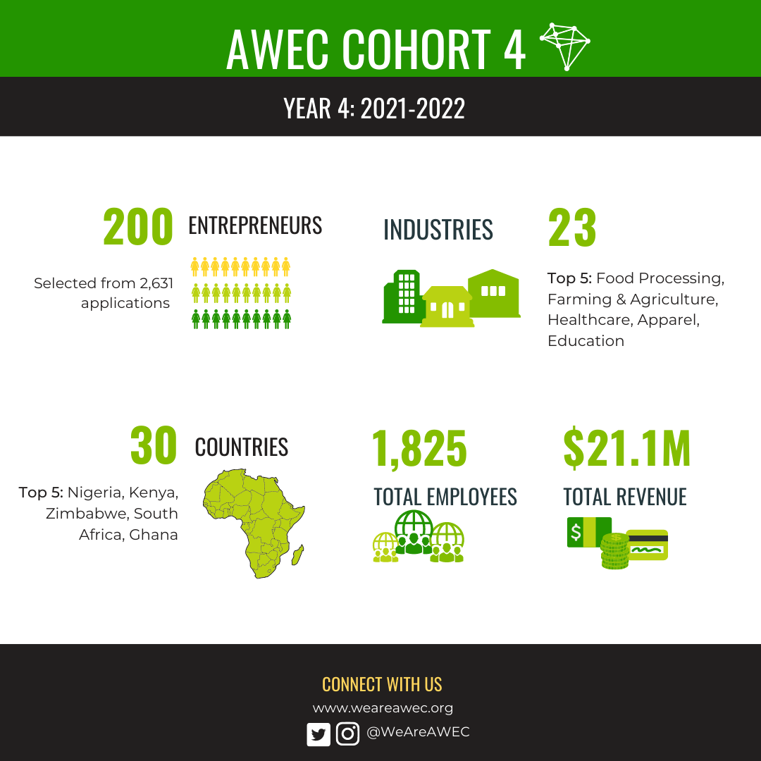 Congratulations to the New AWEC Fellows in Cohort Four! — African Women ...
